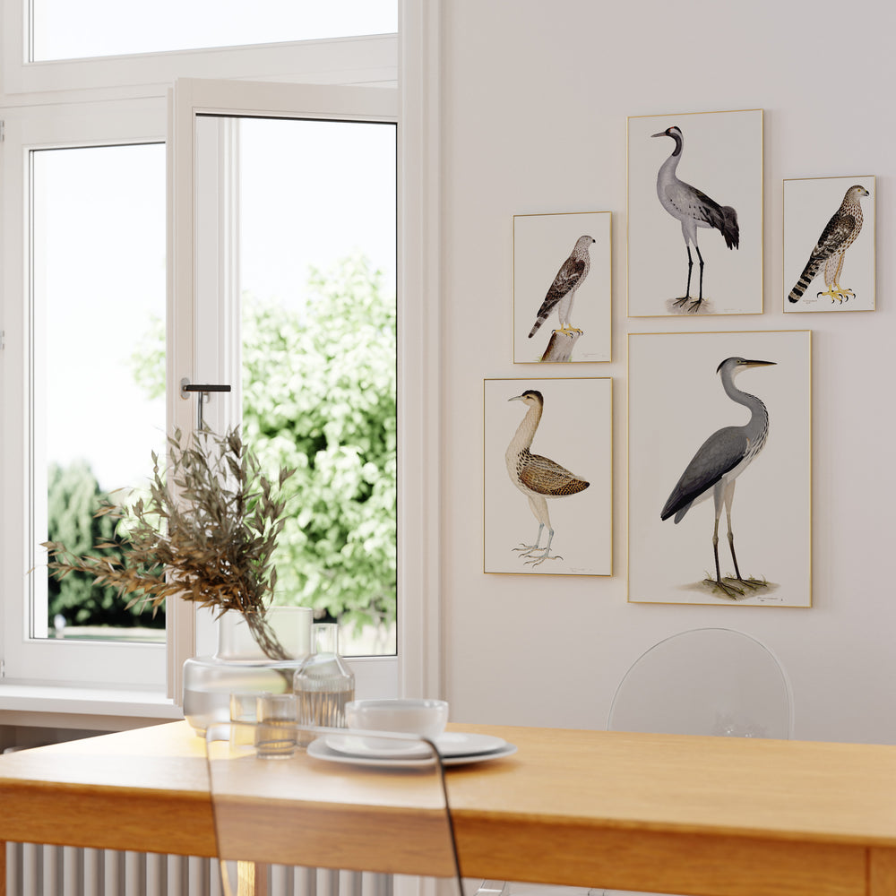 Decorating with Bird Prints: Bringing Nature's Beauty Indoors - Dera Design