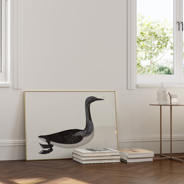 Olof Rudbeck Black Throated Diver Swedish Bird Print - Dera Design