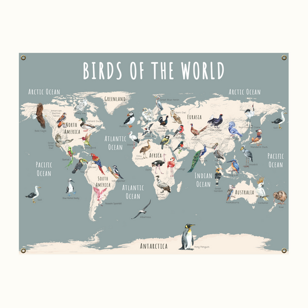 Bird World Map on Fine Art Canvas or Archival Paper - Dera Design