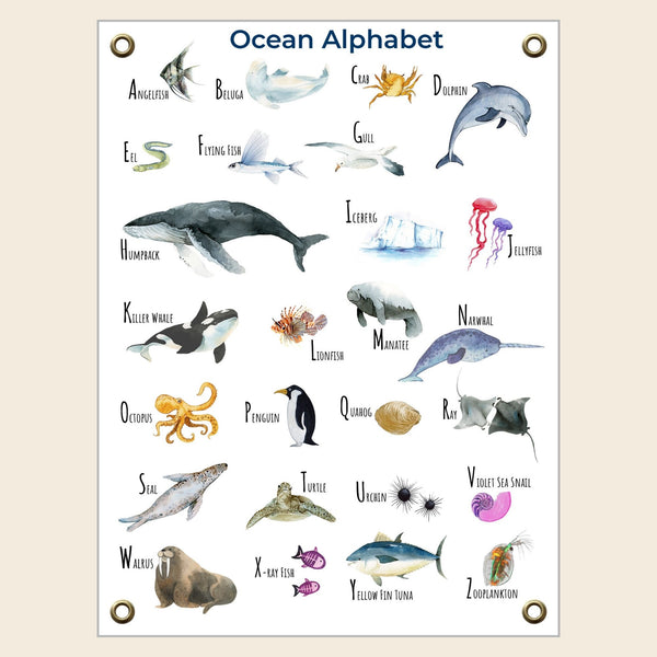 Ocean Alphabet Poster on Archival Fine Art Paper or Canvas - Dera Design