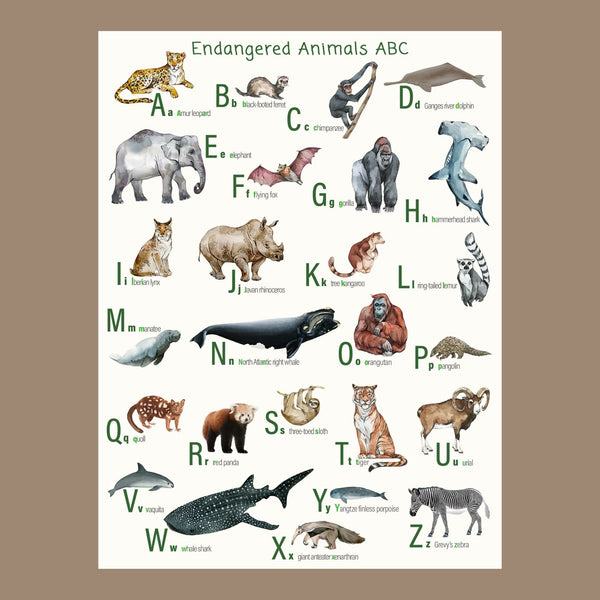Endangered Animals Alphabet Poster on Archival Fine Art Paper or Canva ...