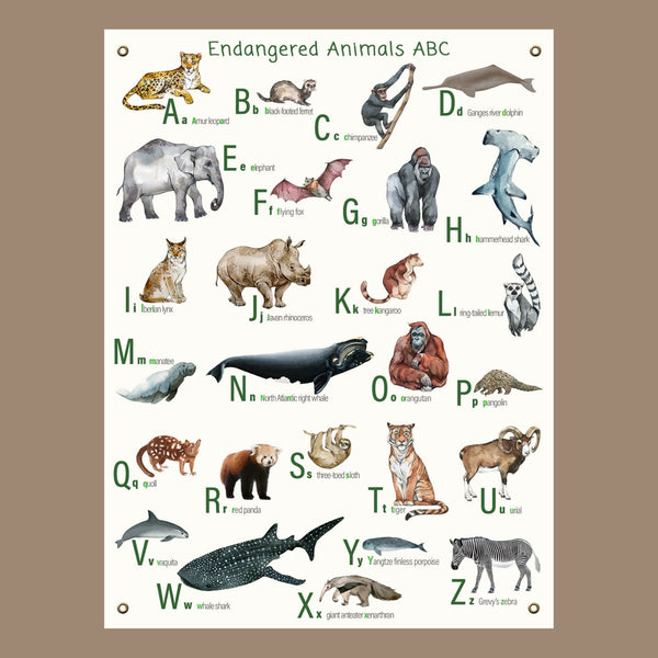 Endangered Animals Alphabet Poster on Archival Fine Art Paper or Canva ...